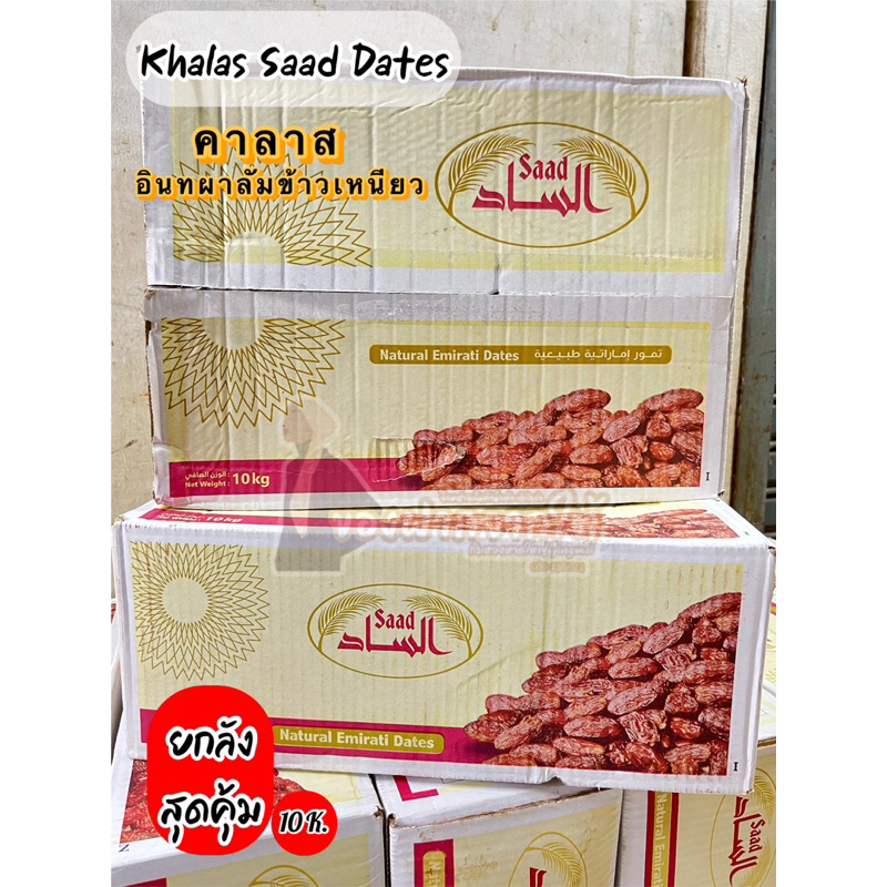 🌴🌴 Khalas Saad Dates อินทผาลัม คาลาส 10กิโลกรัม | Shopee Thailand