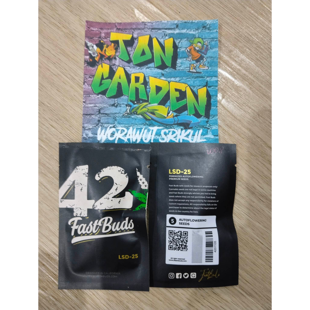 FastBuds LSD-25 Auto พร้อมแพ็คเกจค่ายเเท้เเละเเบบเเยก เมล็ดค่าย เมล็ด ...
