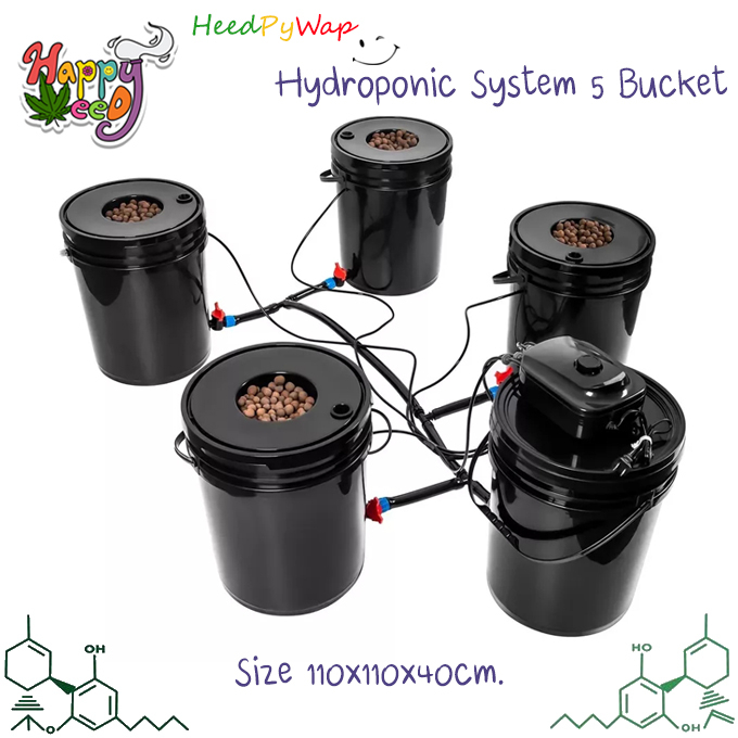 ชุดปลูกครบเซ็ท Hydroponic Grow System Deep Water Culture (DWC) Complete ...