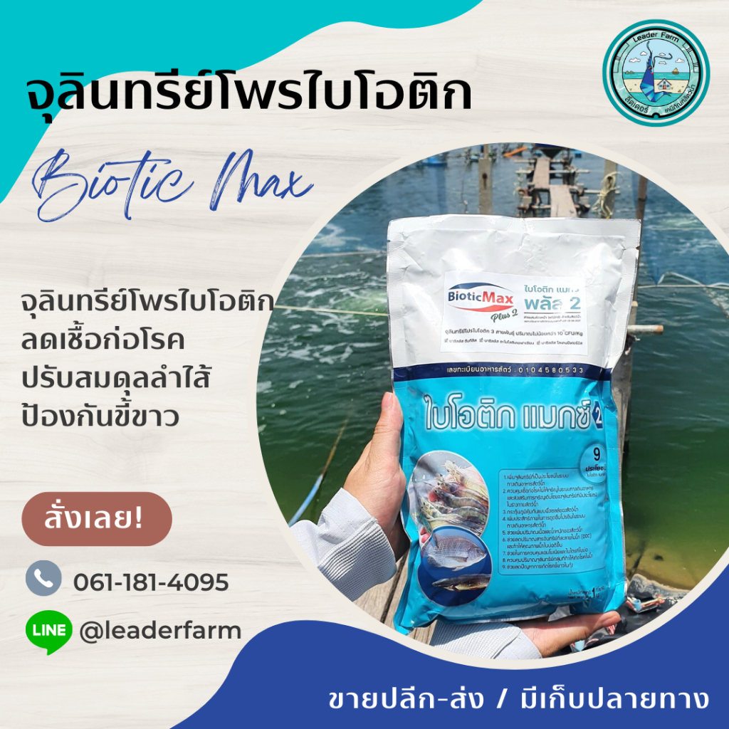 จุลินทรีย์บาซิลลัส Biotic Max Plus 2 ไบโอติก แมกซ์ พลัส 2 สร้างภูมิคุ้มกันกุ้ง สร้างสมดุลลำไส้ ...