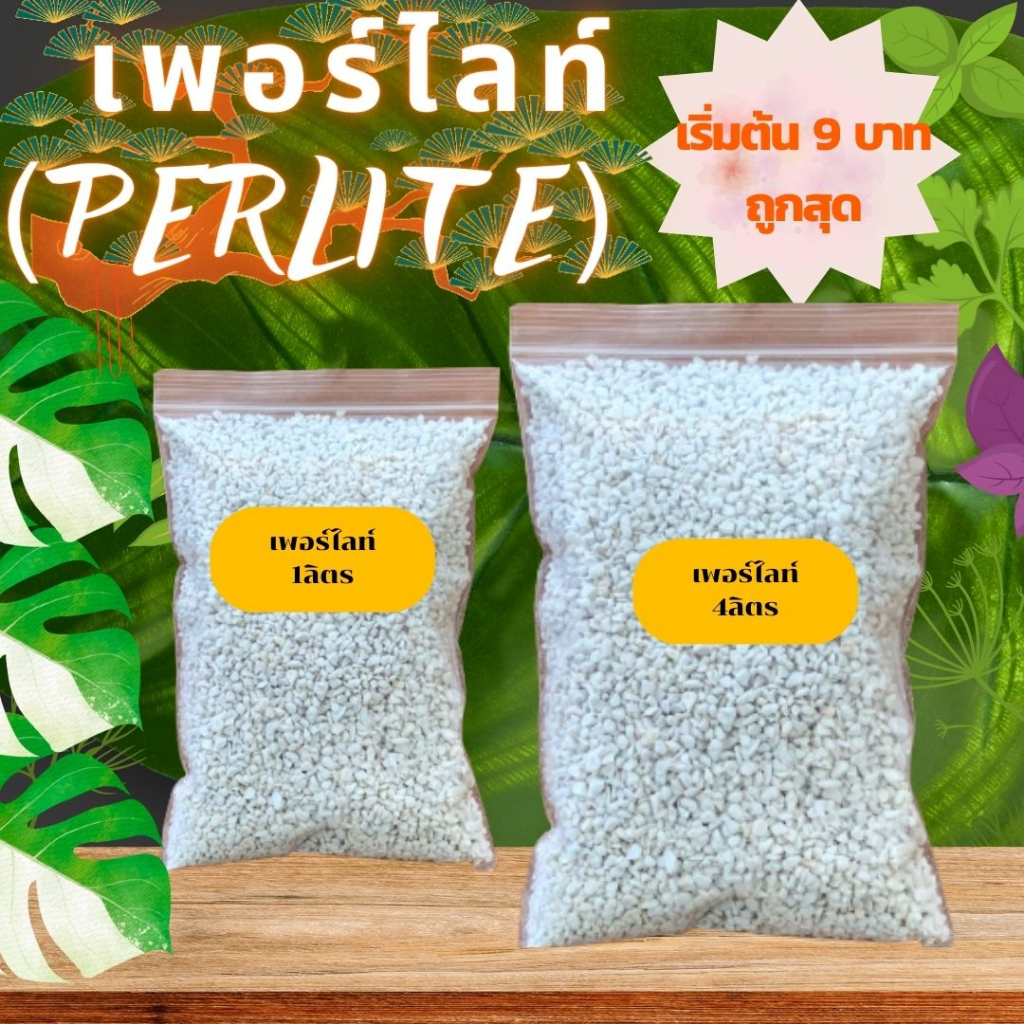 เพอร์ไลท์ (Perlite) พร้อมส่ง วัสดุปลูกสำหรับไม้ฟอกอากาศ แคกตัส | Shopee Thailand