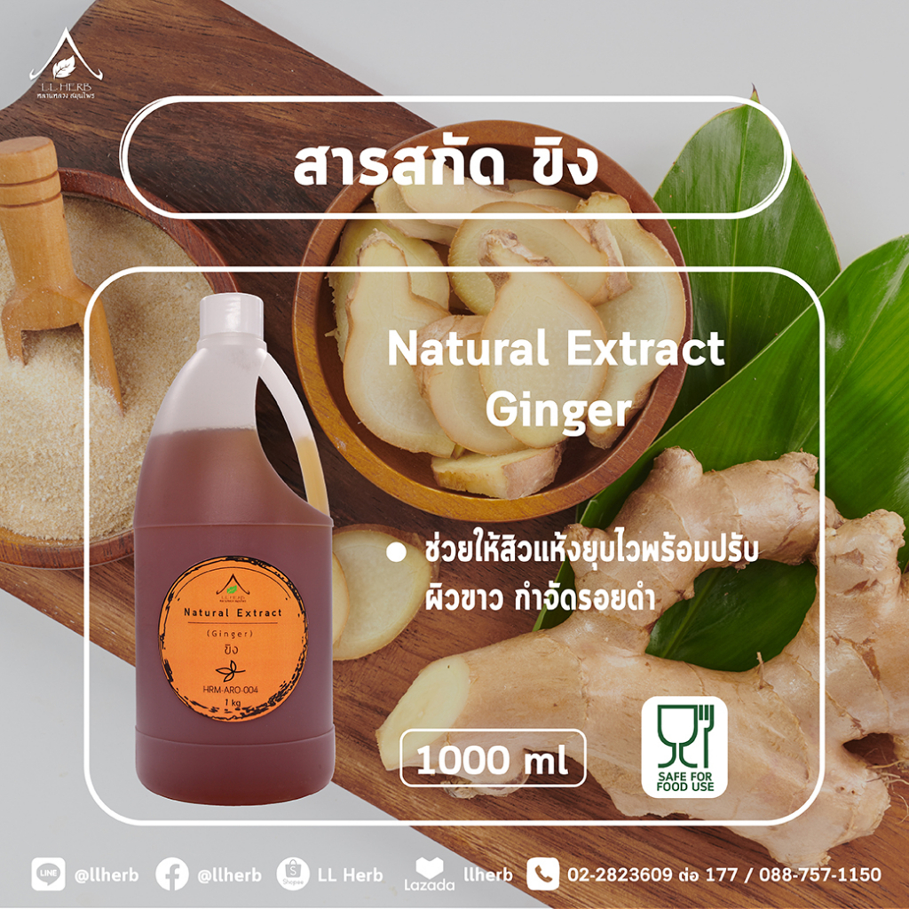 สารสกัด ขิง Ginger Extract | สารสกัดสมุนไพร | (cosmetic grade) ขนาด1000 ...
