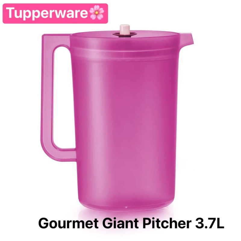 เหยือกน้ำ Tupperware รุ่น Gourmet Giant Pitcher (1) 3.7L | Shopee Thailand
