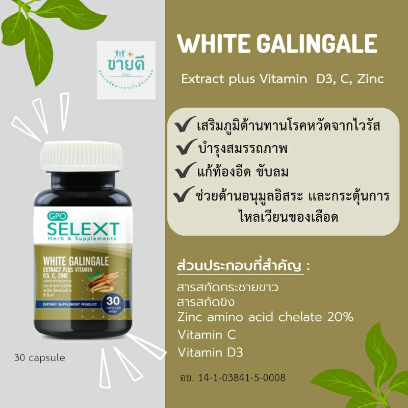 กระชายขาวสกัด พลัส Vitamin D3, C, Zinc - องค์การเภสัชกรรม GPO[Exp.01/ ...