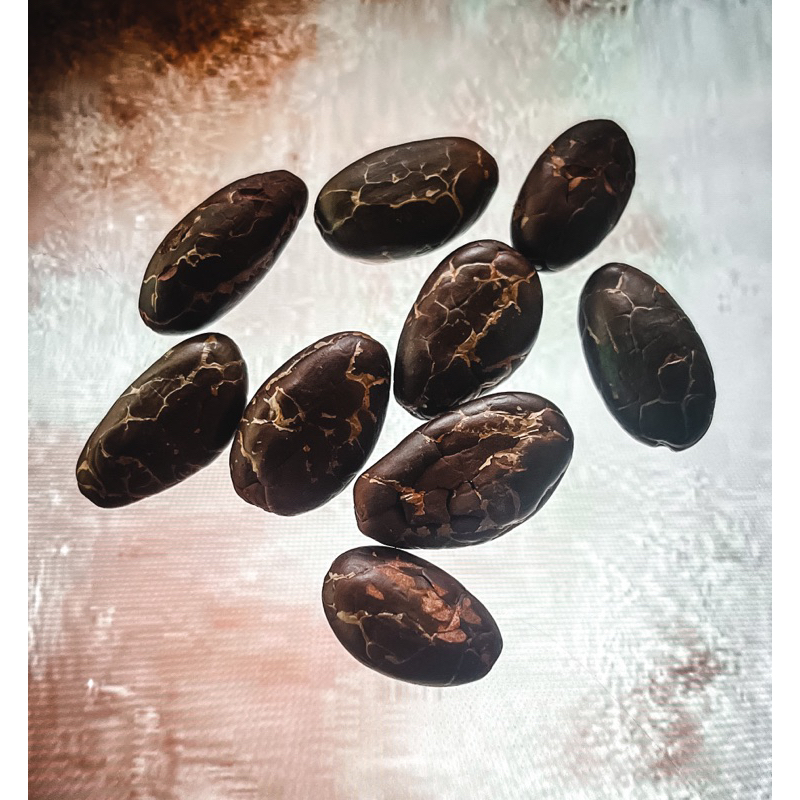 The Choco P. โกโก้นิบส์ Cocoa Nibs เมล็ดโกโก้แท้ 100% ออร์แกนิก คั่ว ...