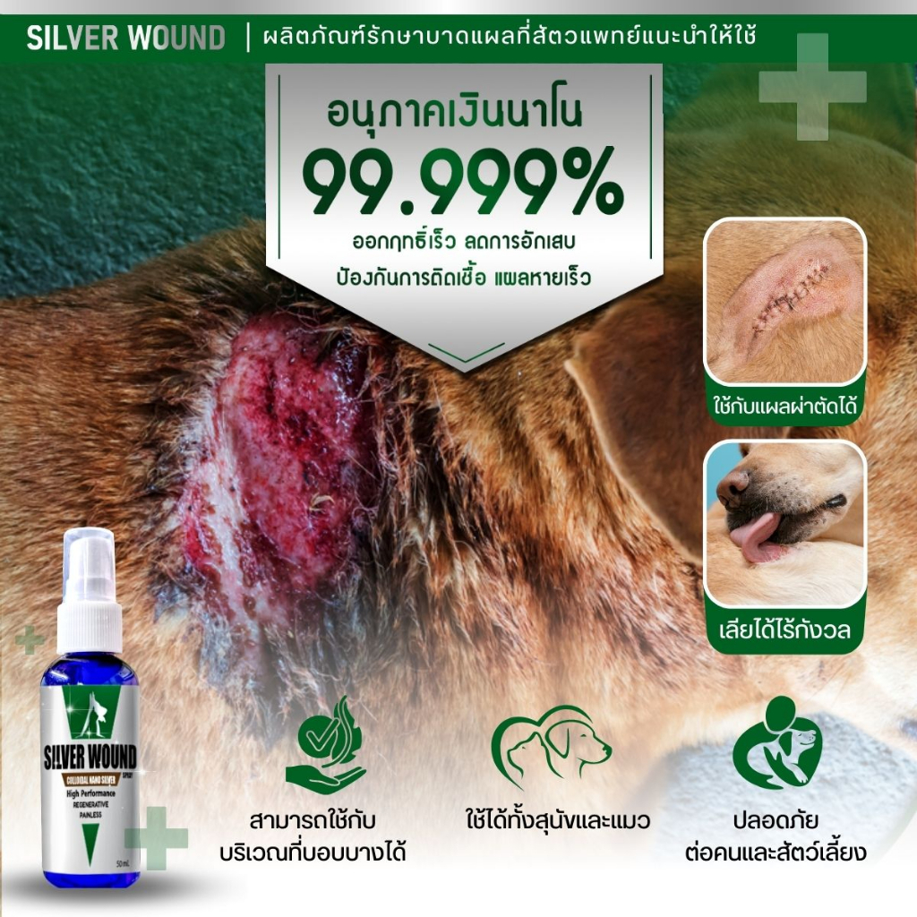 Silver wound สเปรย์แร่เงิน12 ppm สเปรย์ฉีดพ่นแผลสด แผลแห้ง แผลหนอง แผล ...