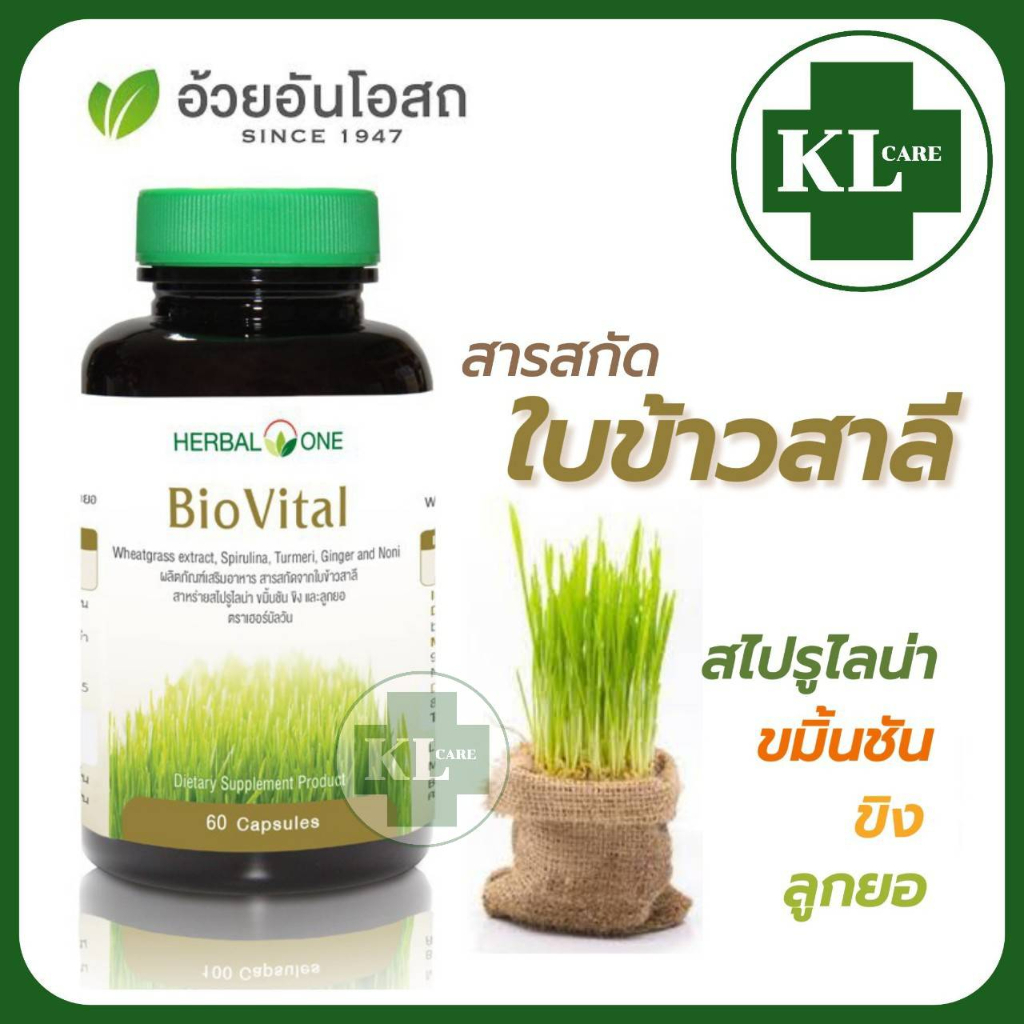 Wheatgrass Spirulina วีทกราส ต้นอ่อนข้าวสาลี สาหร่ายสไปรูลิน่า ล้างสาร ...