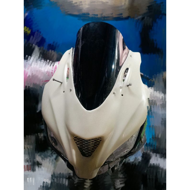 ครอบหน้าแต่งทรงzx Ninja250-300 Zx8 | Shopee Thailand