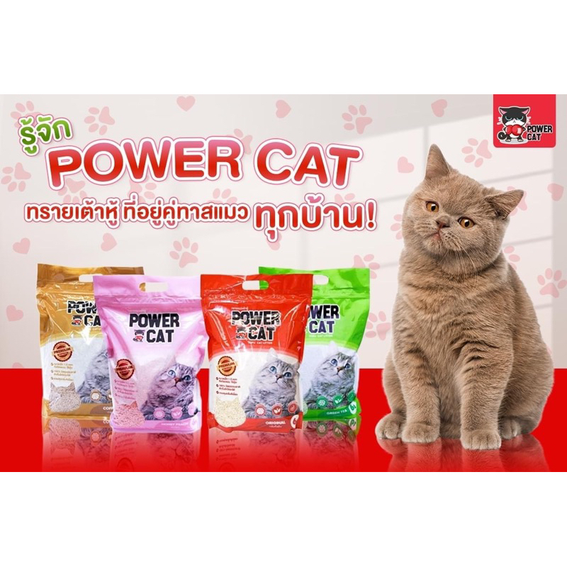 power cat ทรายแมวเต้าหู้ | Shopee Thailand