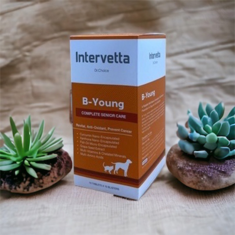 Dr.Choice B-Young Intervetta Exp.26/1/2024 อาหารเสริม บำรุง สุนัขสูงวัย แมวสูงวัย สุนัขชรา แมว ...
