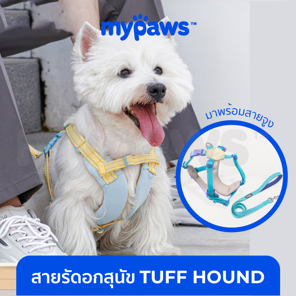 [🔥10.25 ลดสูงสุด150.-]My Paws สายรัดอกสุนัข พร้อมสายจูง ในเซต TUFF ...