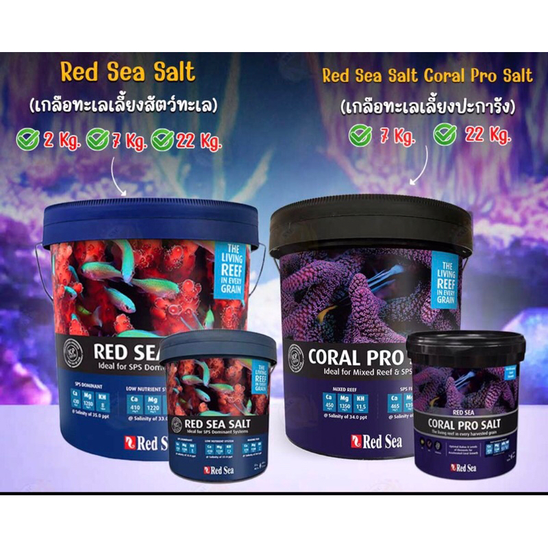 เกลือทะเล Red Sea Salt / Coral Pro Salt เกลือทะเล เกลือน้ำทะเล มี 2 ...