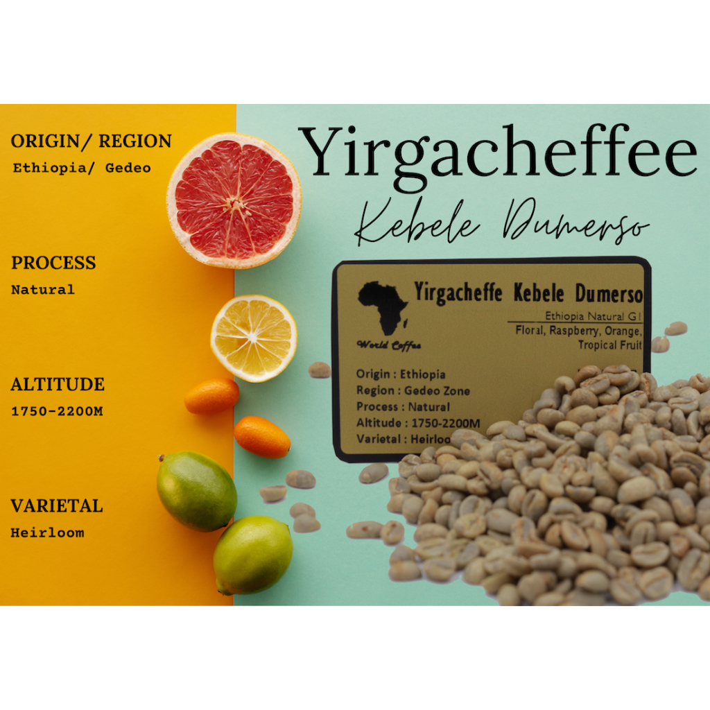 พร้อมส่ง เมล็ดกาแฟดิบ Yirgacheffe Kebele Dumerso Natural Process/ เมล็ด ...