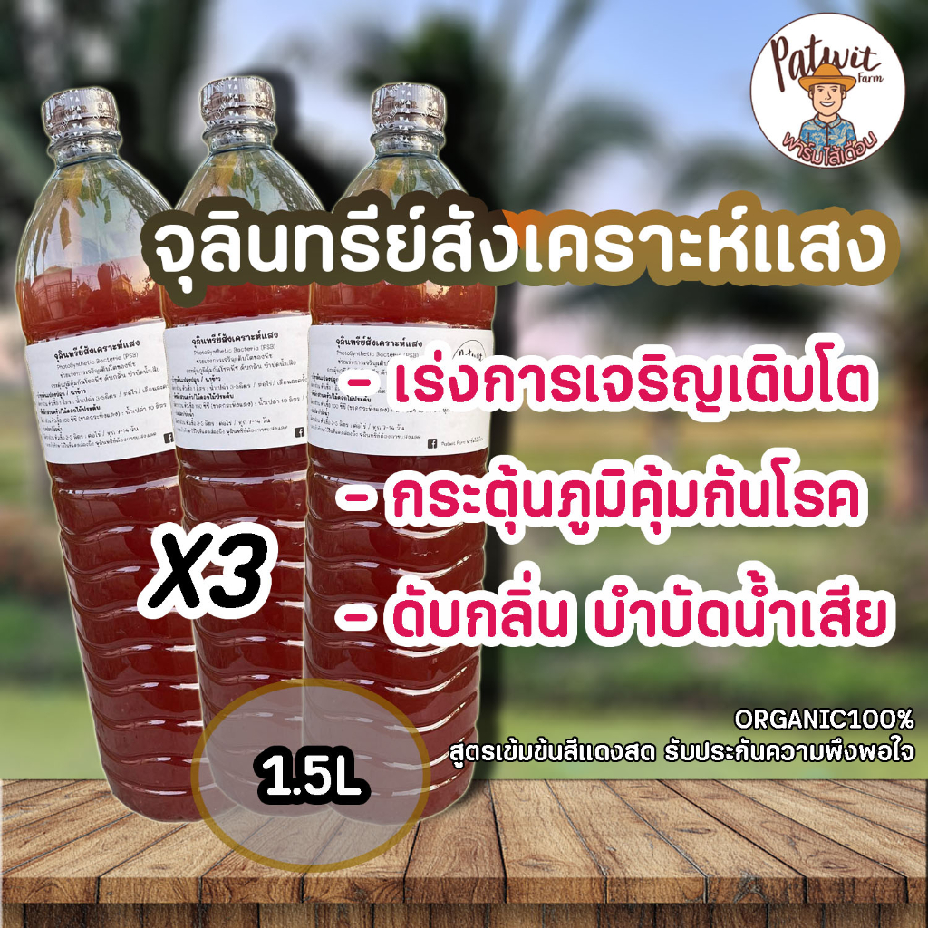 (ค่าส่งถูก)จุลินทรีย์สังเคราะห์แสง PSB ขนาด1.5L ชุด3ขวด สูตรเข้มข้นสีแดงสด ใช้ขยายเชื้อต่อได้ไม่ ...