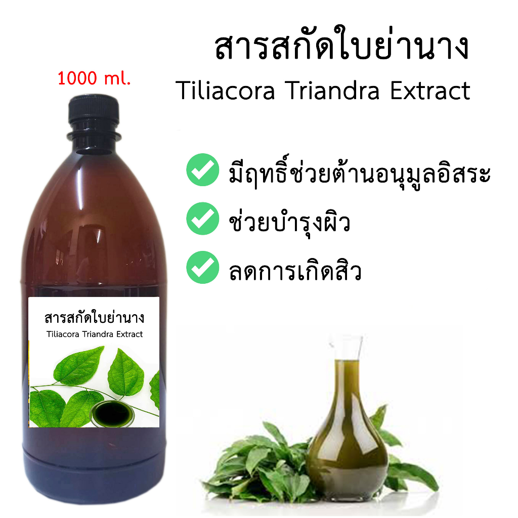 สารสกัด ใบย่านาง 1000 ML. ( Tiliacora triandra Extract ) | Shopee Thailand