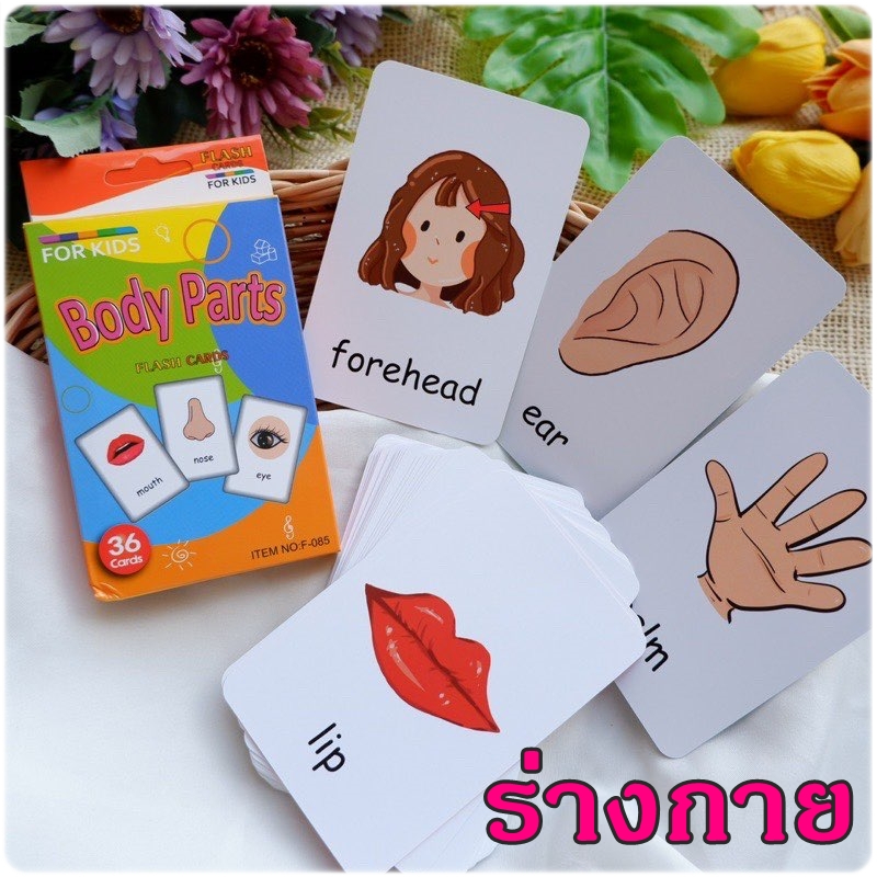 แฟลชการ์ด Flash cards รูปภาพสีสันหมวดหมู่ต่างๆ พร้อมส่ง | Shopee Thailand