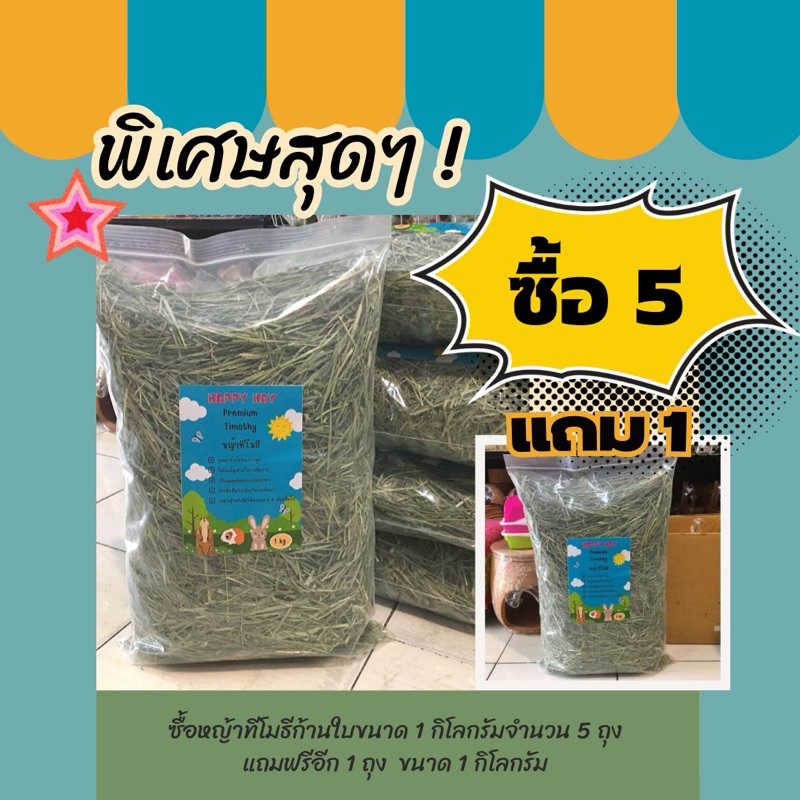 Happy Hay ทิมโมทีร่อนฝุ่น ซื้อ 5 กิโลกรัม แถมฟรี 1 กิโลกรัม | Shopee ...