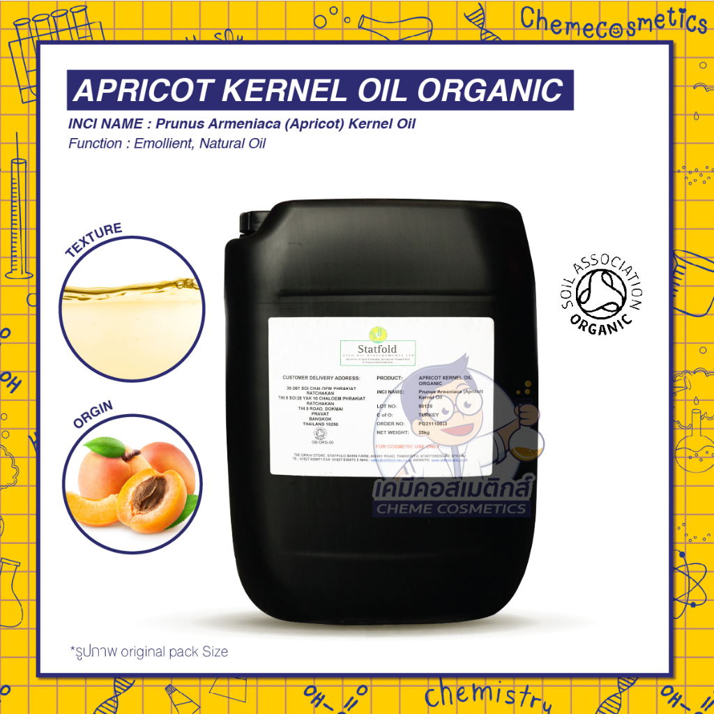 Apricot Kernel Oil Organic น้ำมันแอปปริคอท เกรดออร์แกนิค ซึมซาบเข้าสู่ ...