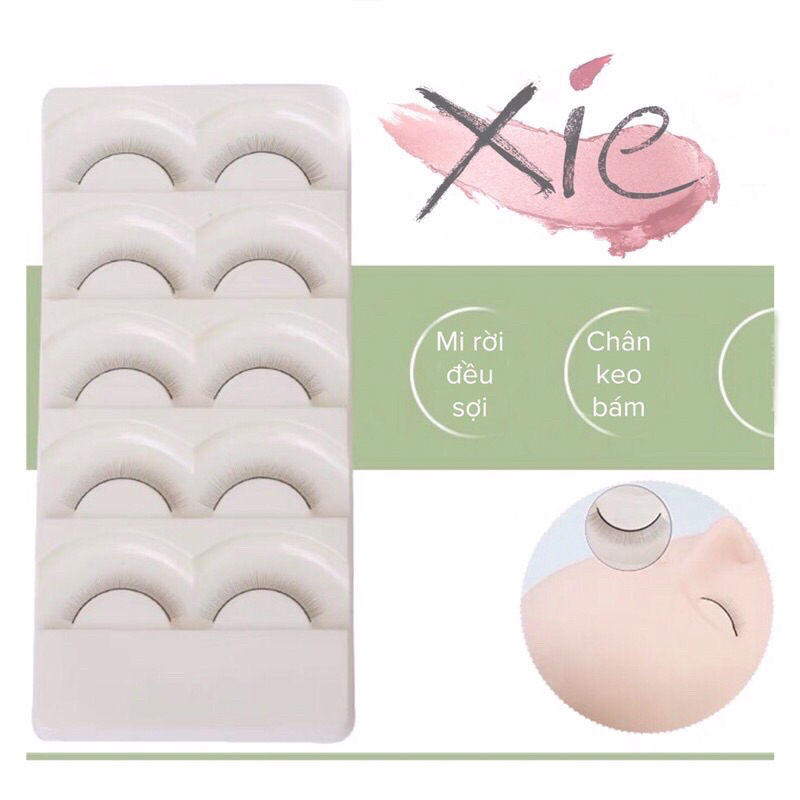 ขนตาปลอมสำหรับเรียนต่อขนตา (Mi Tap) | Shopee Thailand