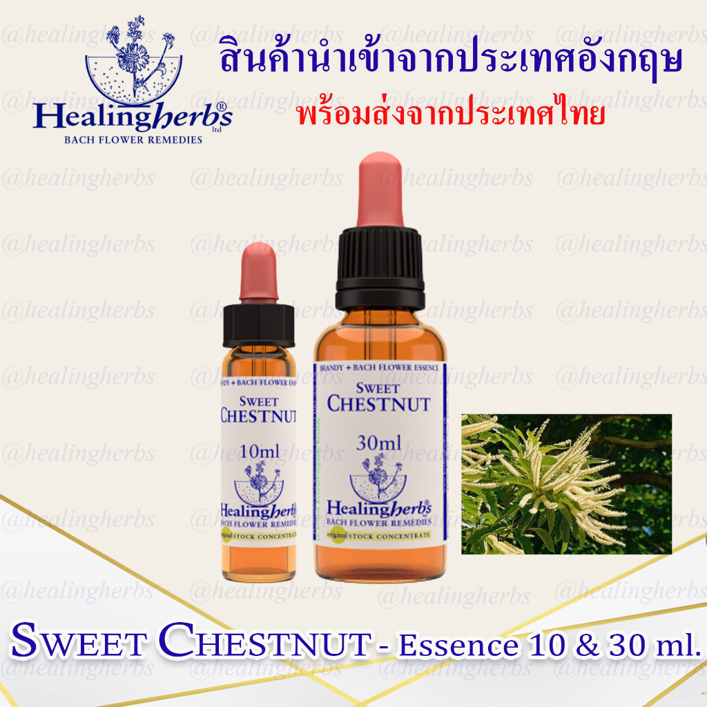 (Sweet Chestnut) Bach Flower Essence (droppler) ขนาด 10 ml. หรือ 30 ml ...