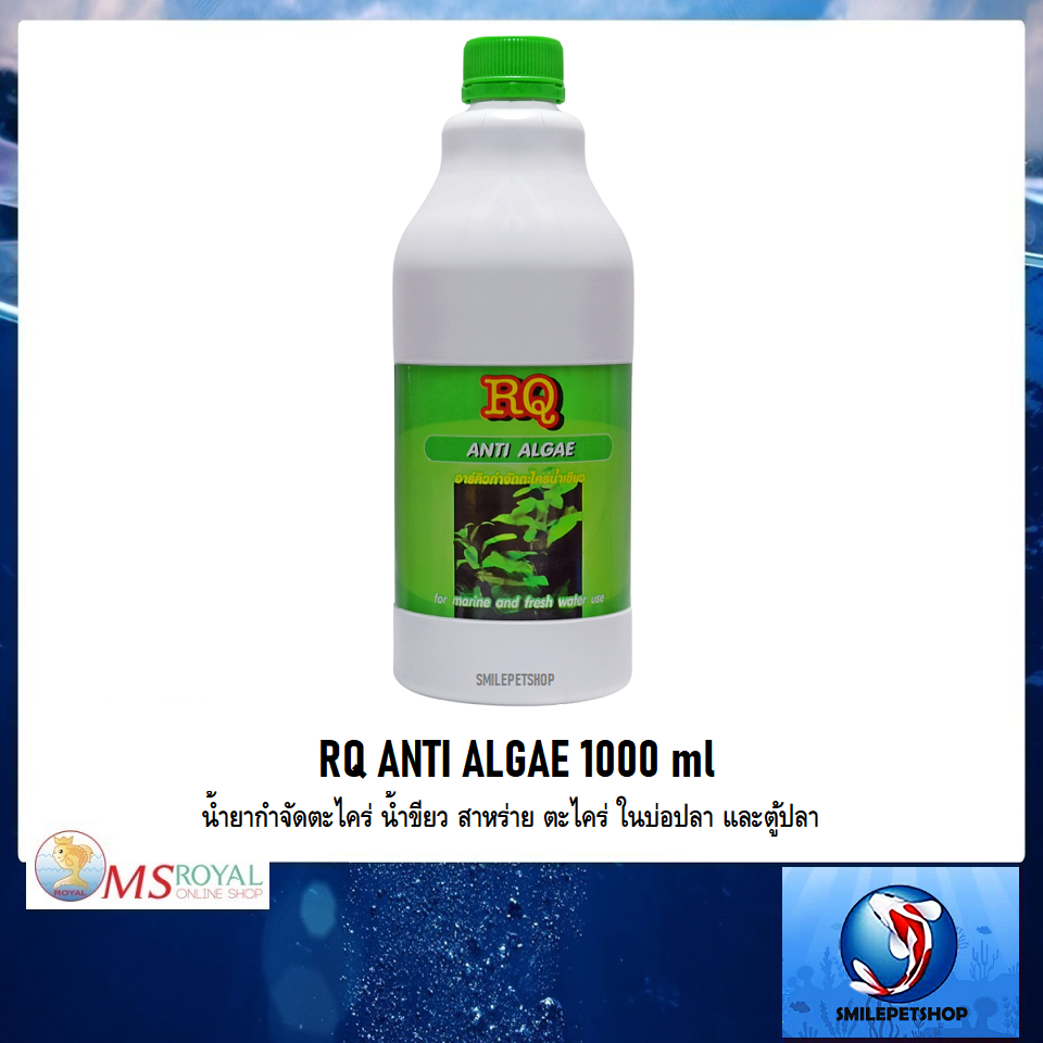 RQ ANTI ALGAE 1000 ml (น้ำยากำจัดตะไคร่ น้ำขียว สาหร่าย ตะไคร่ ในบ่อปลา และตู้ปลา) | Shopee Thailand