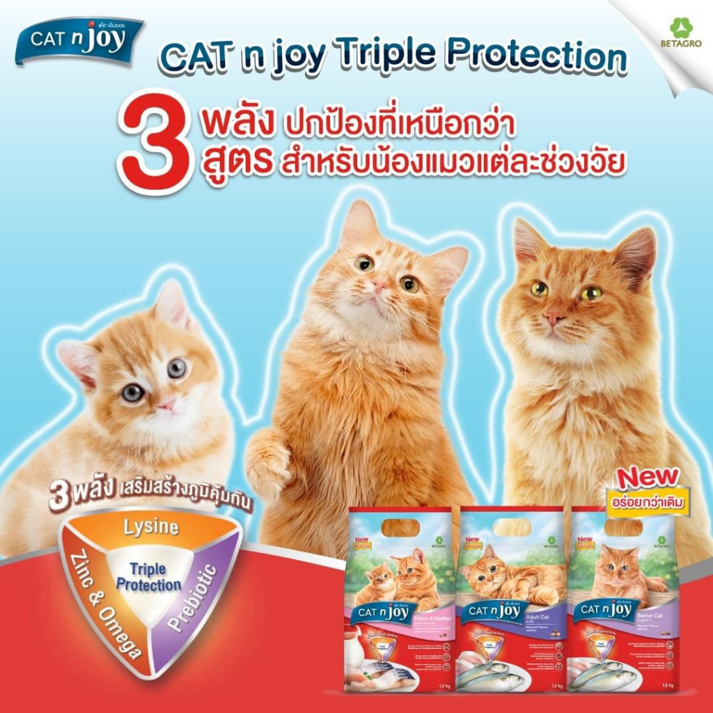 พร้อมส่ง ใหม่ Cat n Joy อาหารแมว แค็ทเอ็นจอย ขนาด 400 g ทุกสูตร2023 XD3W BNNPETSHOP | Shopee ...