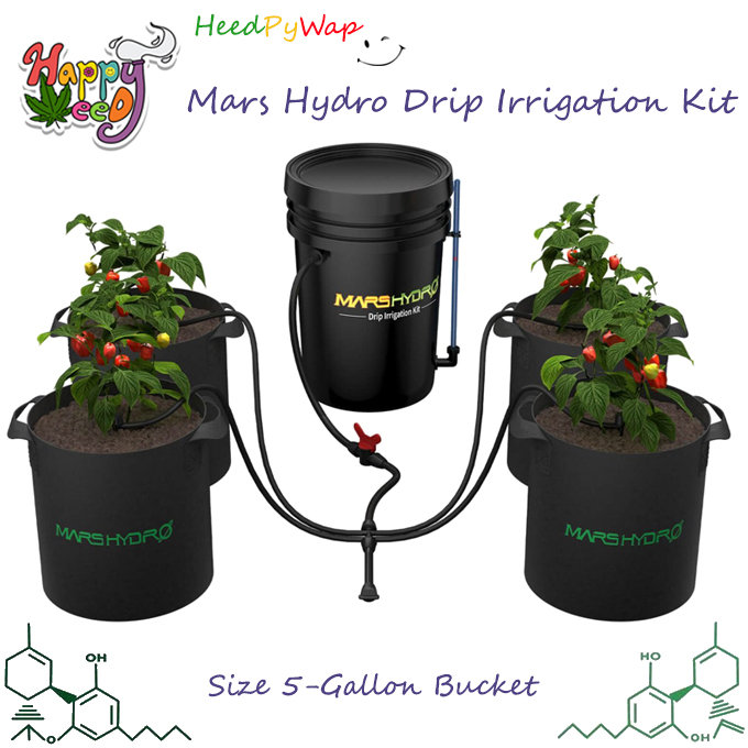 [ส่งฟรี] Mars Hydro Drip Irrigation Kit 5-Gallon Bucket Watering System ...
