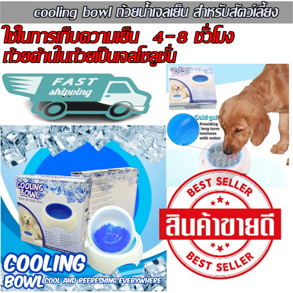 cooling bowl ถ้วยน้ำเจลเย็น สำหรับสัตว์เลี้ยง | Shopee Thailand