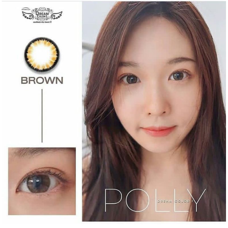 Polly brown Dream color1 | Shopee Thailand