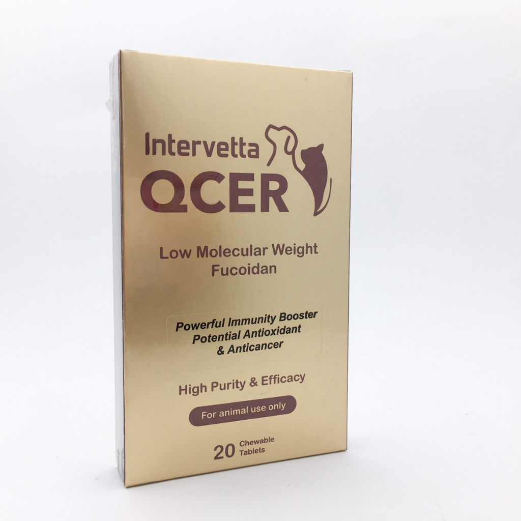 QCER ต้านมะเร็งสุนัข-แมว เสริมภูมิคุ้มกันให้สมดุลย์ อาหารเสริมสุนัขและแมว | Shopee Thailand