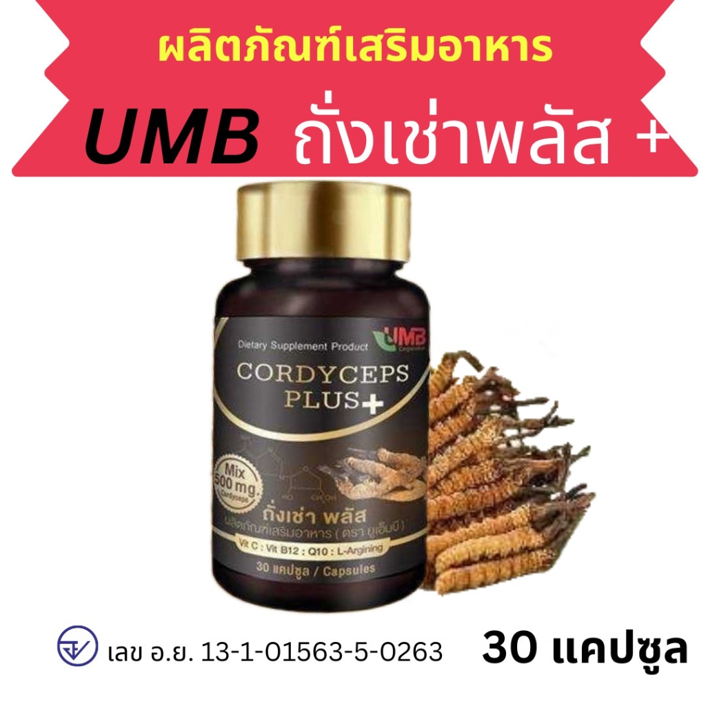 UMB Cordyceps Plus mix ผลิตภัณฑ์เสริมอาหาร ถั่งเช่า พลัส / 1 กระปุก 30 ...