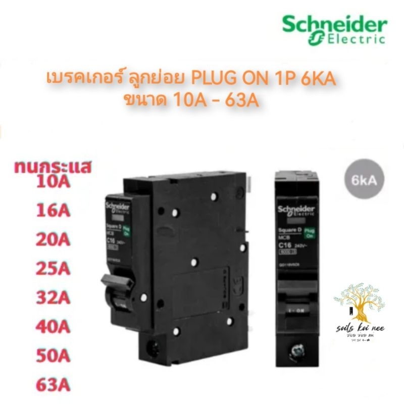 Schneider เบรกเกอร์ ลูกย่อย MCB Plug On 1P 6kA ขนาด 10A 16A 20A 25A 32A ...