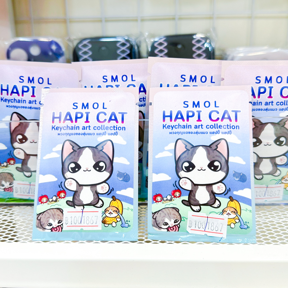 ซองสุ่มพวงกุญแจ Hapi cat [CATEYES] | Shopee Thailand