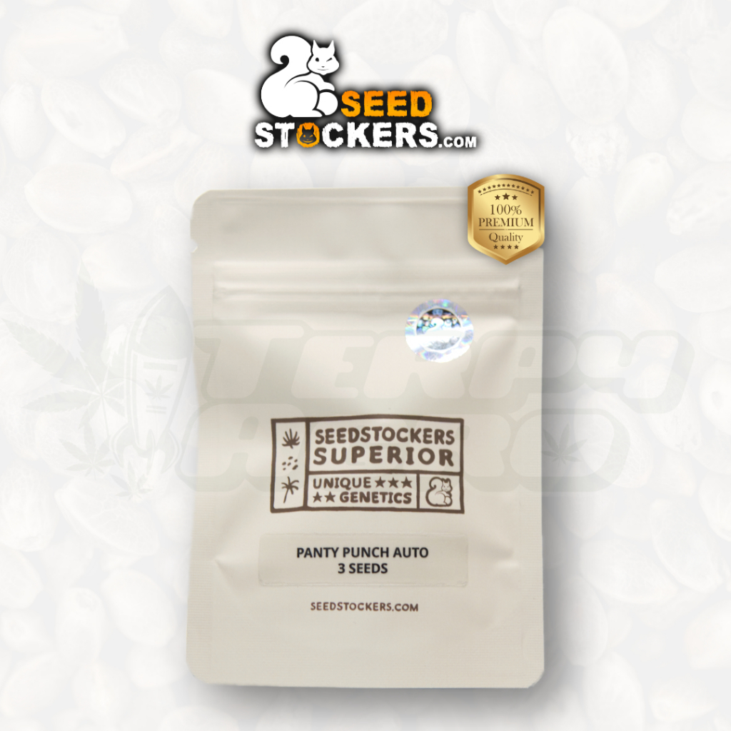 Panty Punch (Auto) - Seedstockers Superior เมล็ด กัญชา นำเข้าแท้100% ...