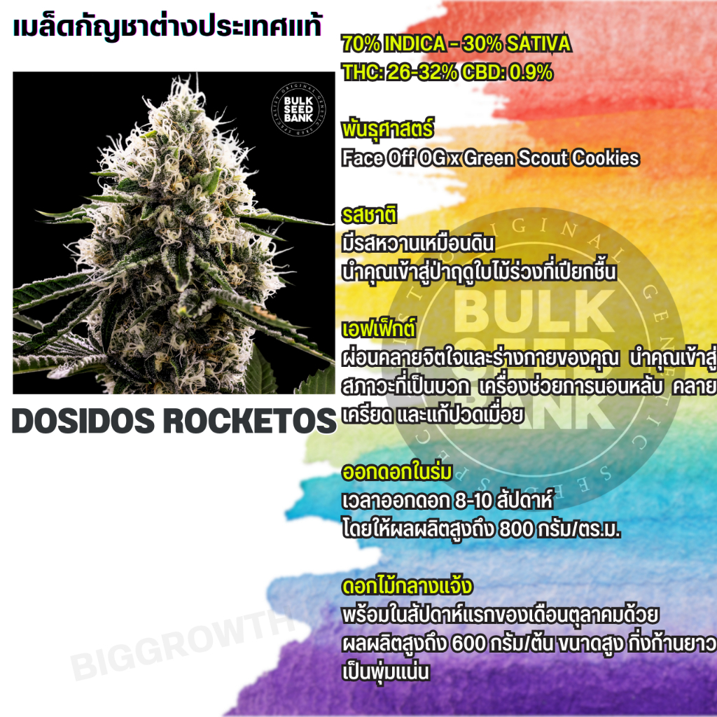 เมล็ดกัญชาเพศเมีย 100% โฟโต้ จำนวน 10เมล็ด ค่าย BulkSeedbank จากประเทศสโลวิเนีย | Shopee Thailand
