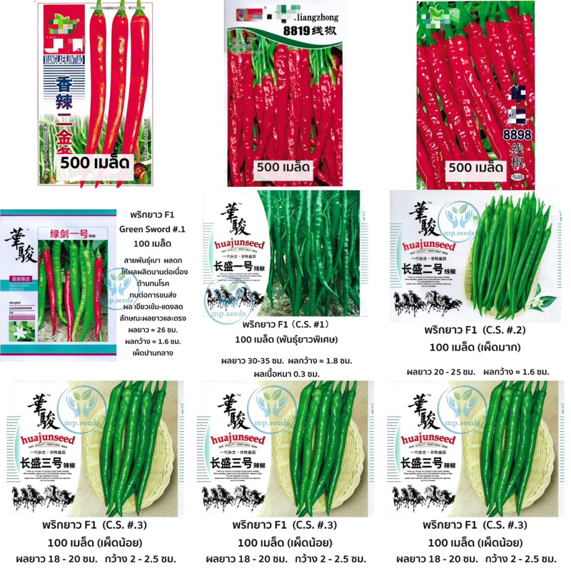 เมล็ด พริกโจลอง Jolong Chili 500 เมล็ด เมล็ดพริกยาวจีนยอดนิยม เมล็ด ...