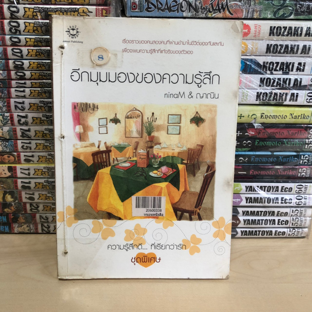 อีกมุมมองของความรู้สึก โดย ninaM & ญาณิน (สภาพเช่า) สนพ แจ่มใส ความ ...