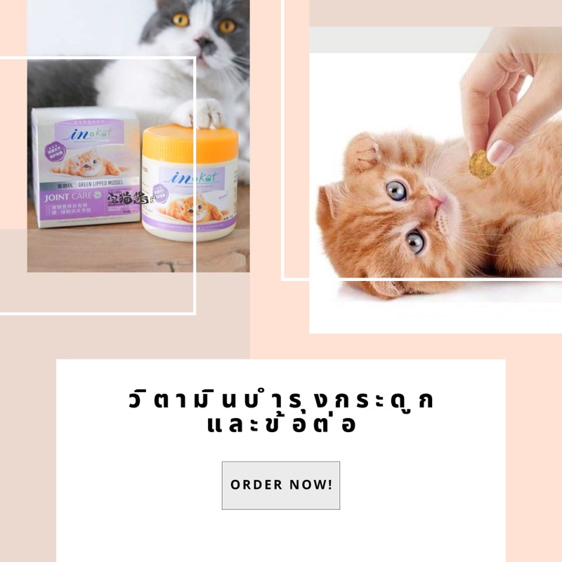 วิตามินบำรุงกระดูก และข้อต่อ Inkat | Shopee Thailand