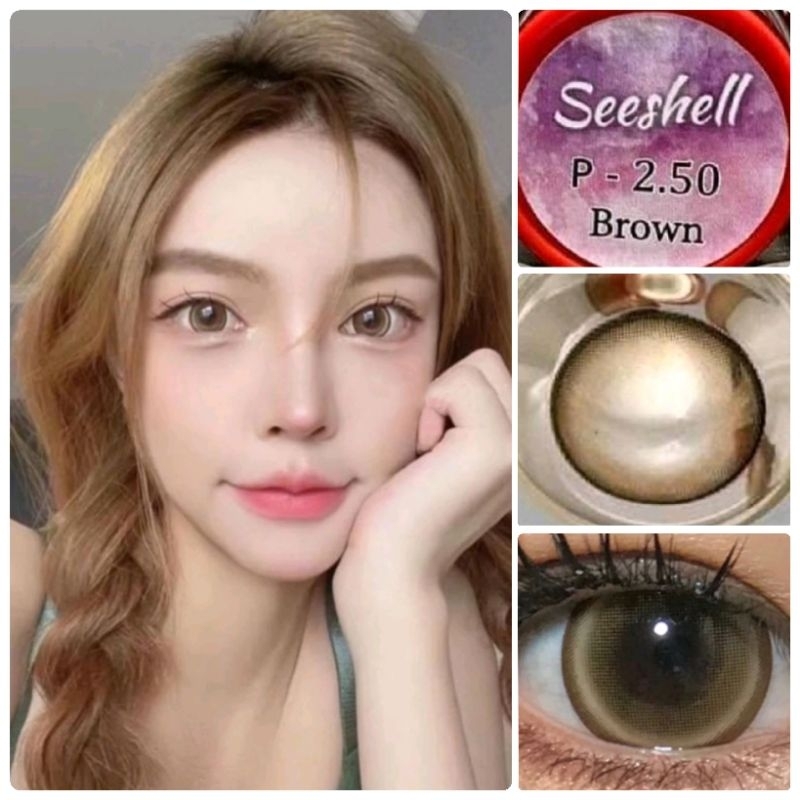 คอนแทคเลนส์ บิ๊กอาย รุ่น Seeshell สีฟ้า/เทา/ตาล Blue/Gray/Brown มีค่า ...