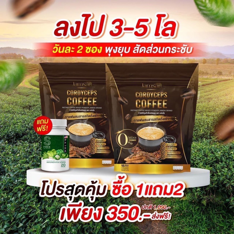 กาแฟjamsaicordyceps(coffee) | Shopee Thailand