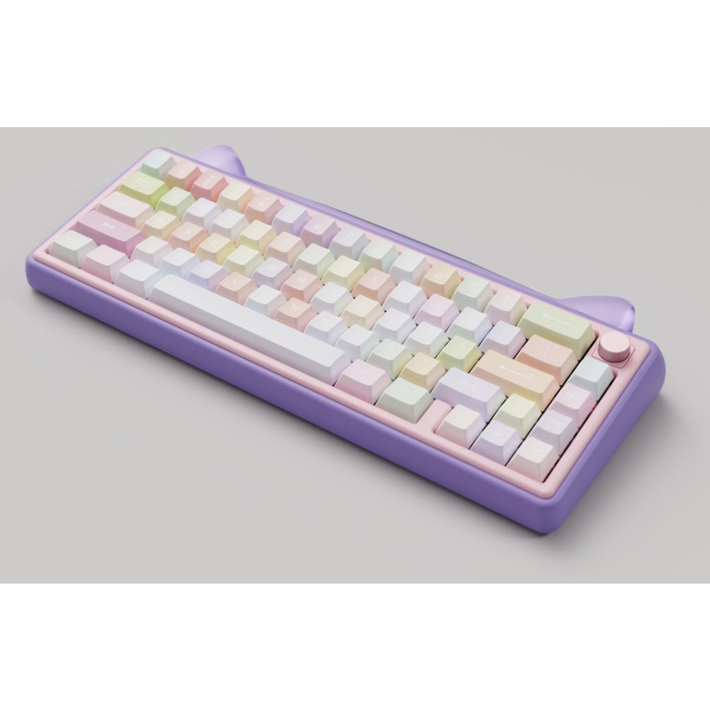 (พร้อมส่ง) คีย์บอร์ด ไร้สาย ครบชุด พร้อมใช้ Chilkey Paw65 65% gasket ...