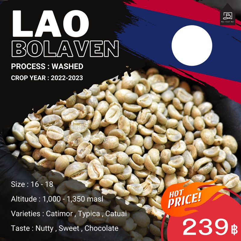 สารกาแฟ Lao Bolaven Fine Crop 2022-2023 | Shopee Thailand