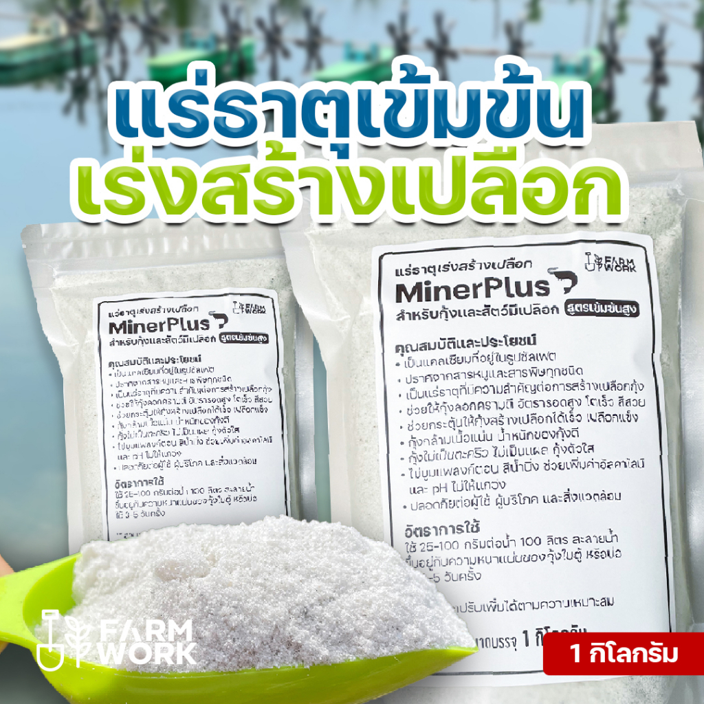 แร่ธาตุเร่งสร้างเปลือก MinerPlus สำหรับกุ้งและสัตว์มีเปลือก กุ้งไม่เป็นตะคริว ไม่เป็นแผล กุ้งตัว ...