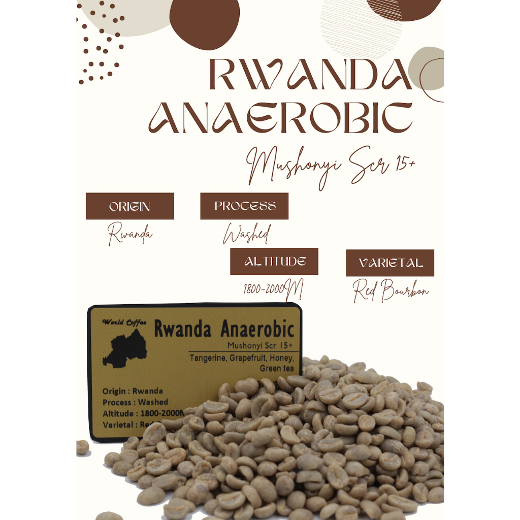 พร้อมส่ง เมล็ดกาแฟดิบ Rwanda Anaerobic Washed process/ เมล็ดกาแฟนอก/ สารกาแฟรวันดา | Shopee Thailand