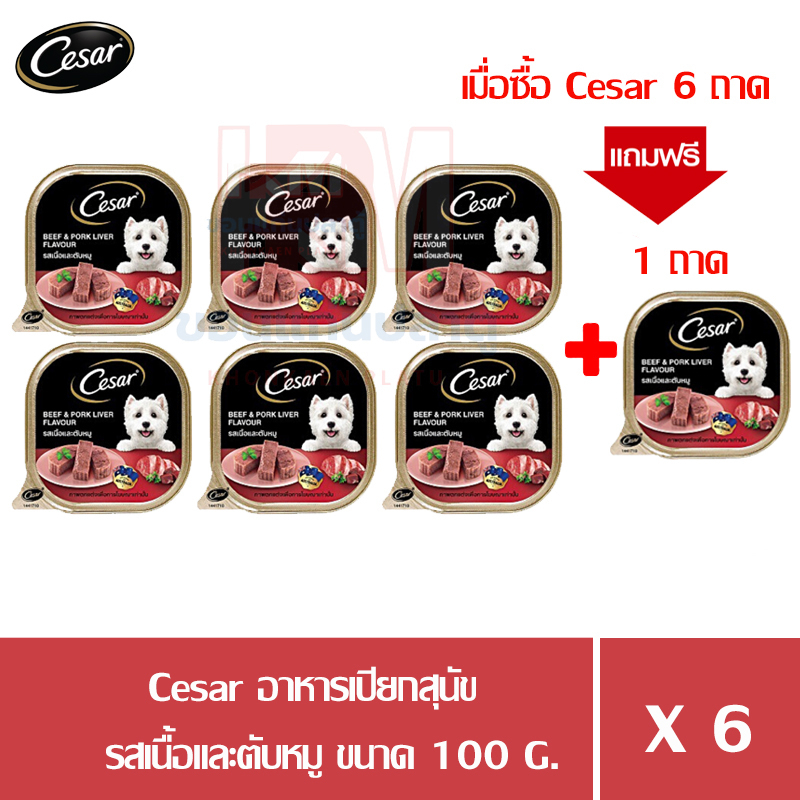 Cesar Australian Beef Flavor ซีซาร์ คราฟต์ ออสเตรเลียน บีฟ อาหารสุนัข ...