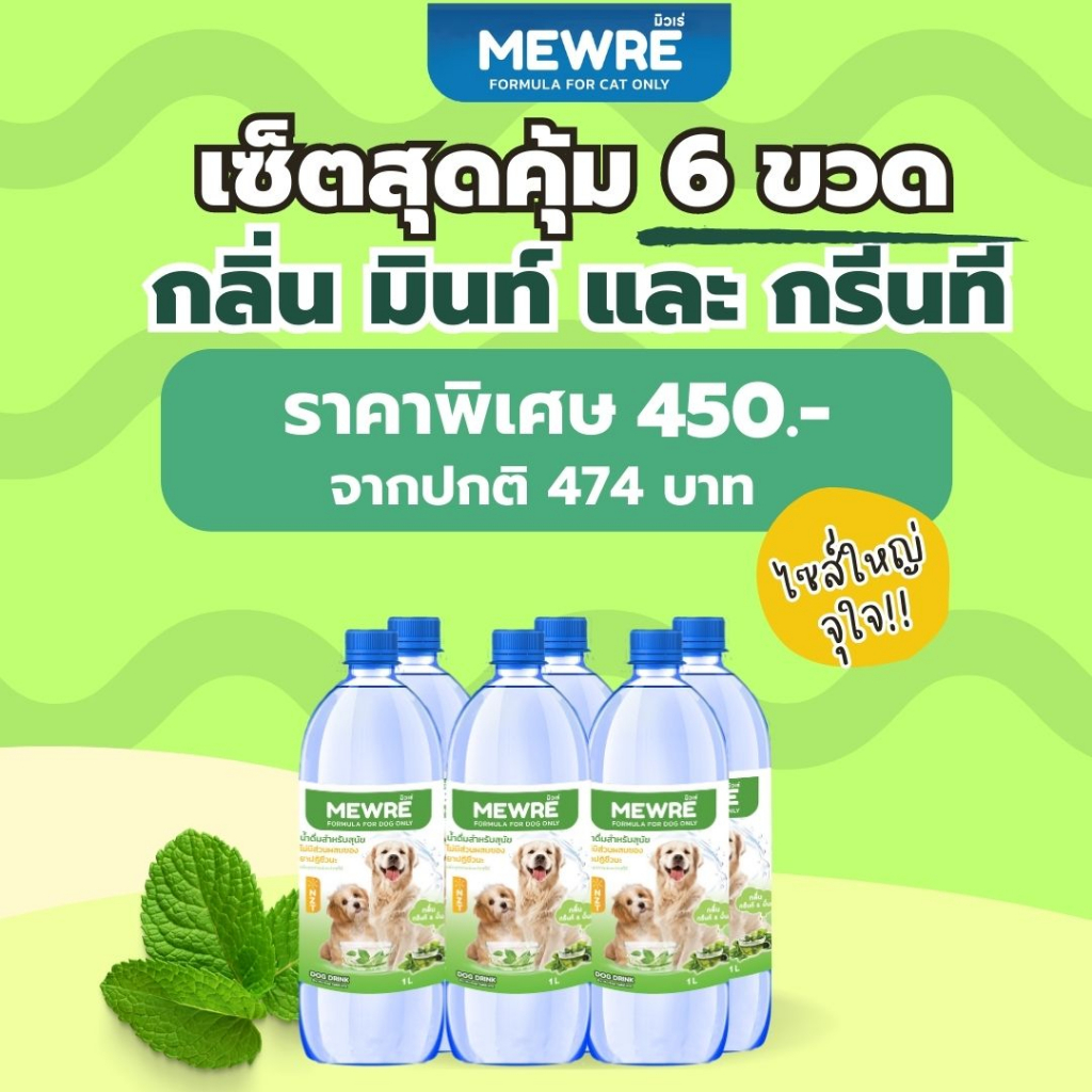 MEWRE มิวเร่ น้ำดื่มสำหรับสุนัข น้ำหมาเซ็ตสุดคุ้ม 6 ขวด กลิ่นมิ้นท์และกรีนที ขนาด 1L. (D x 6 ...