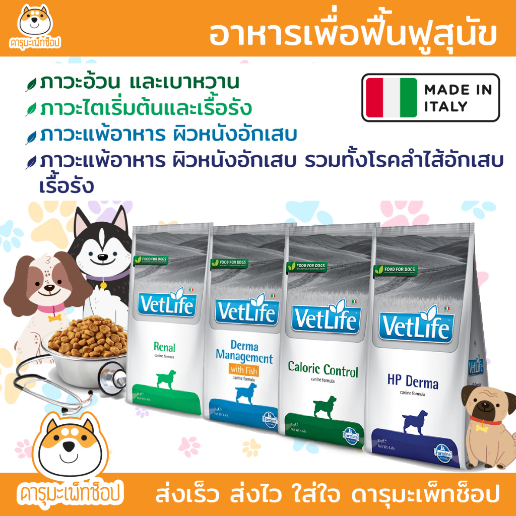 อาหารเพื่อฟื้นฟู และดูแลสุนัข แคลลอรี่ต่ำ สุนัขแพ้ง่าย Vet Life ...