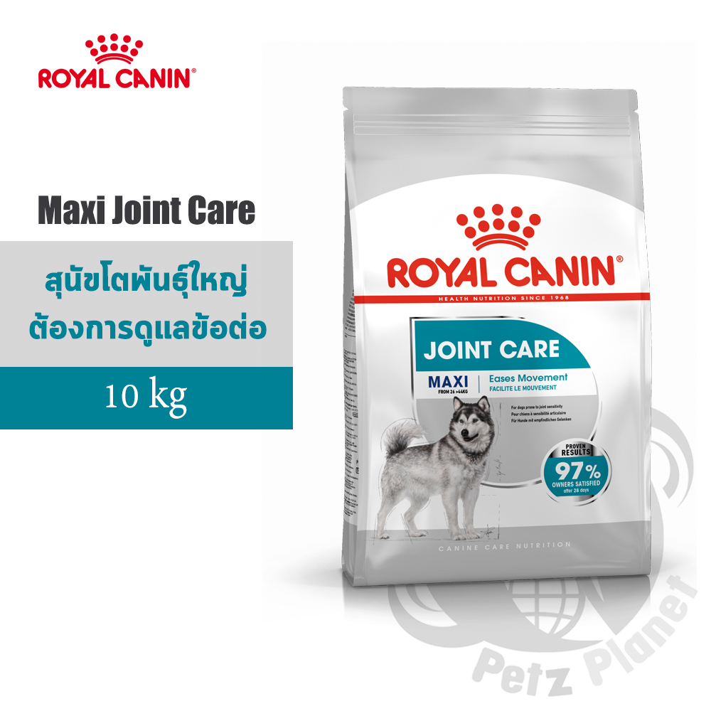 Royal Canin Maxi Joint Care อาหารสำหรับสุนัขพันธุ์ใหญ่ อายุ15เดือนขึ้น ...