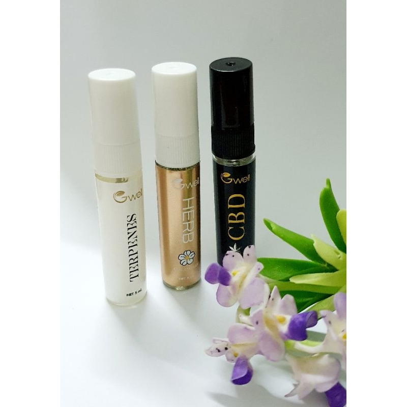 ⭐️⭐️SET 3 สุดฟินสุดคุ้ม กับการผ่อนคลาย⭐️⭐️สเปรย์ Gwell CBD- TERPENES ...