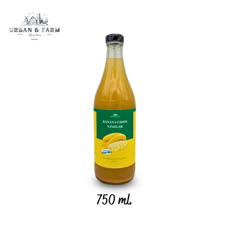 BANANA CIDER VINEGAR | RAW Unfiltered ไซเดอร์กล้วย น้ำส้มสายชูหมักจาก ...